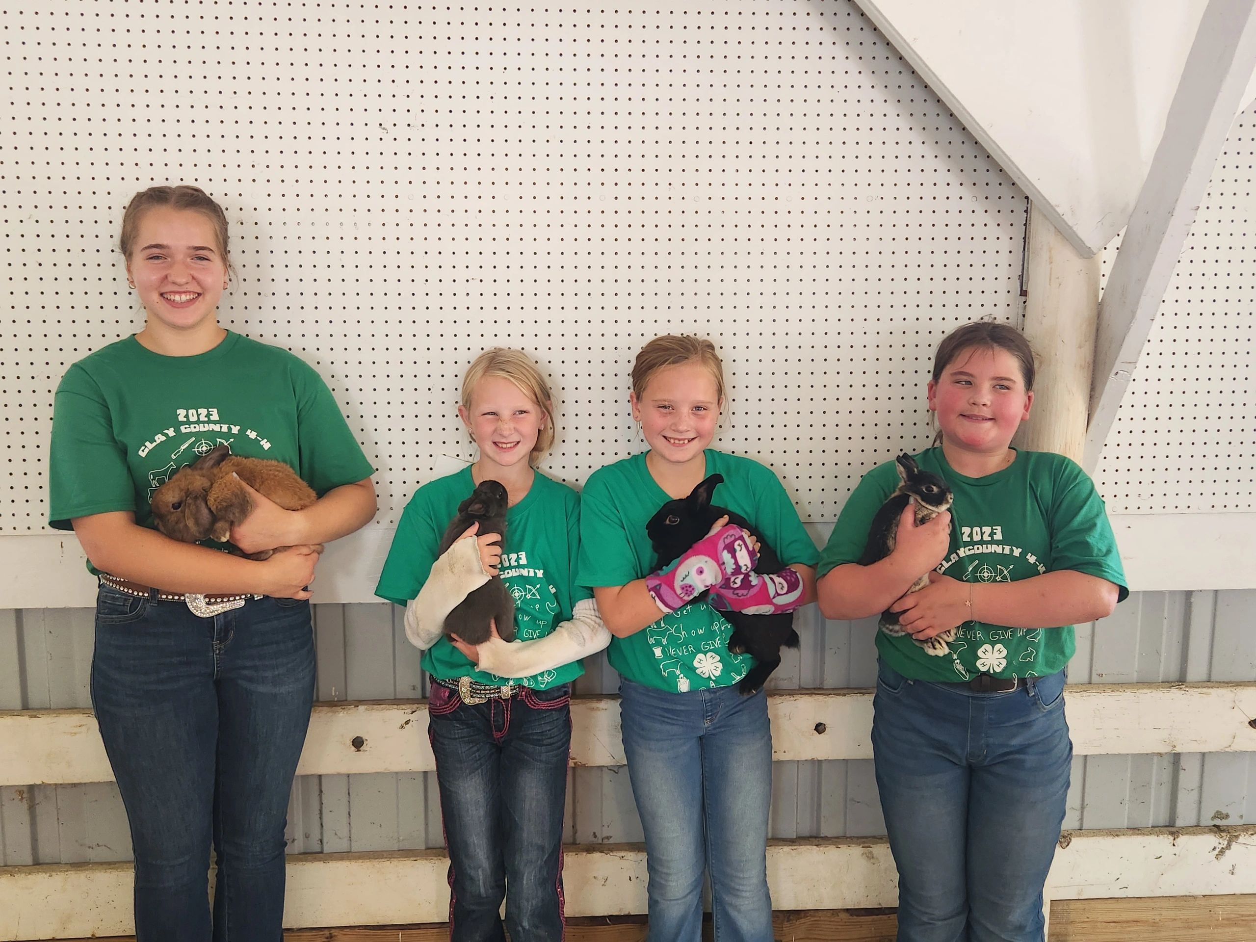 Clay County Fair - Fair, Entertainment, Demolition Derby, Fair