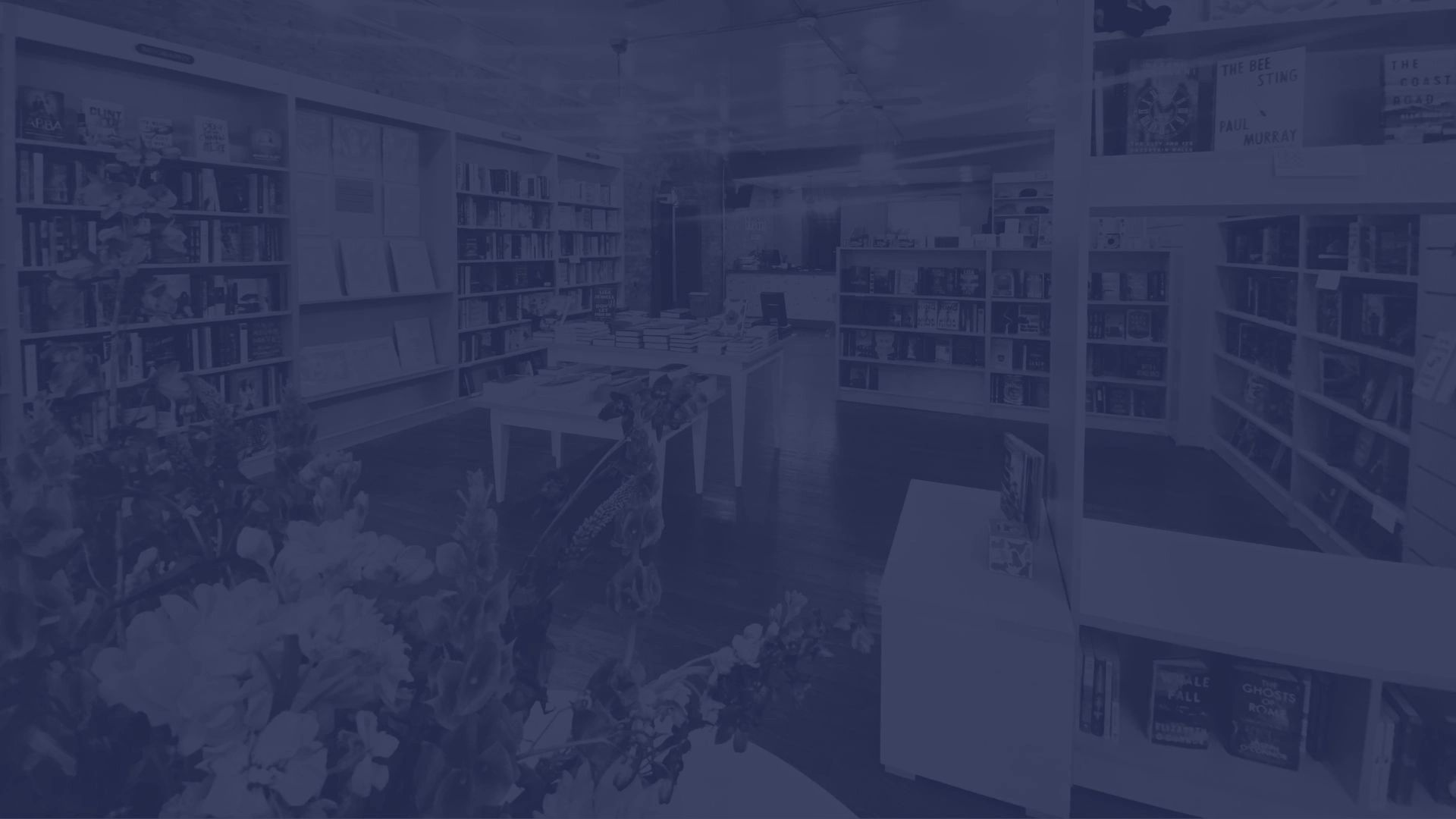 Blue Dog Books - Your Favorite Neighborhood Bookstore