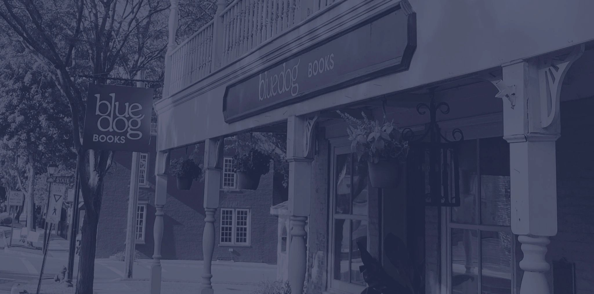 Blue Dog Books - Your Favorite Neighborhood Bookstore