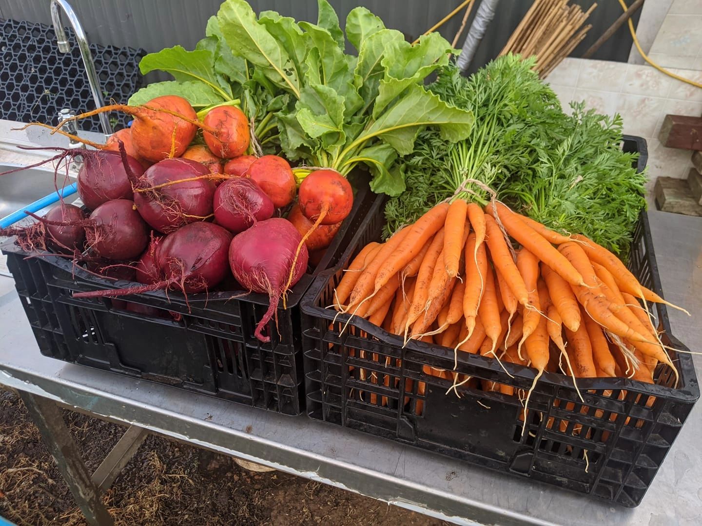 Volcano Produce - Vegetables Fruit, Garlic Strawberries