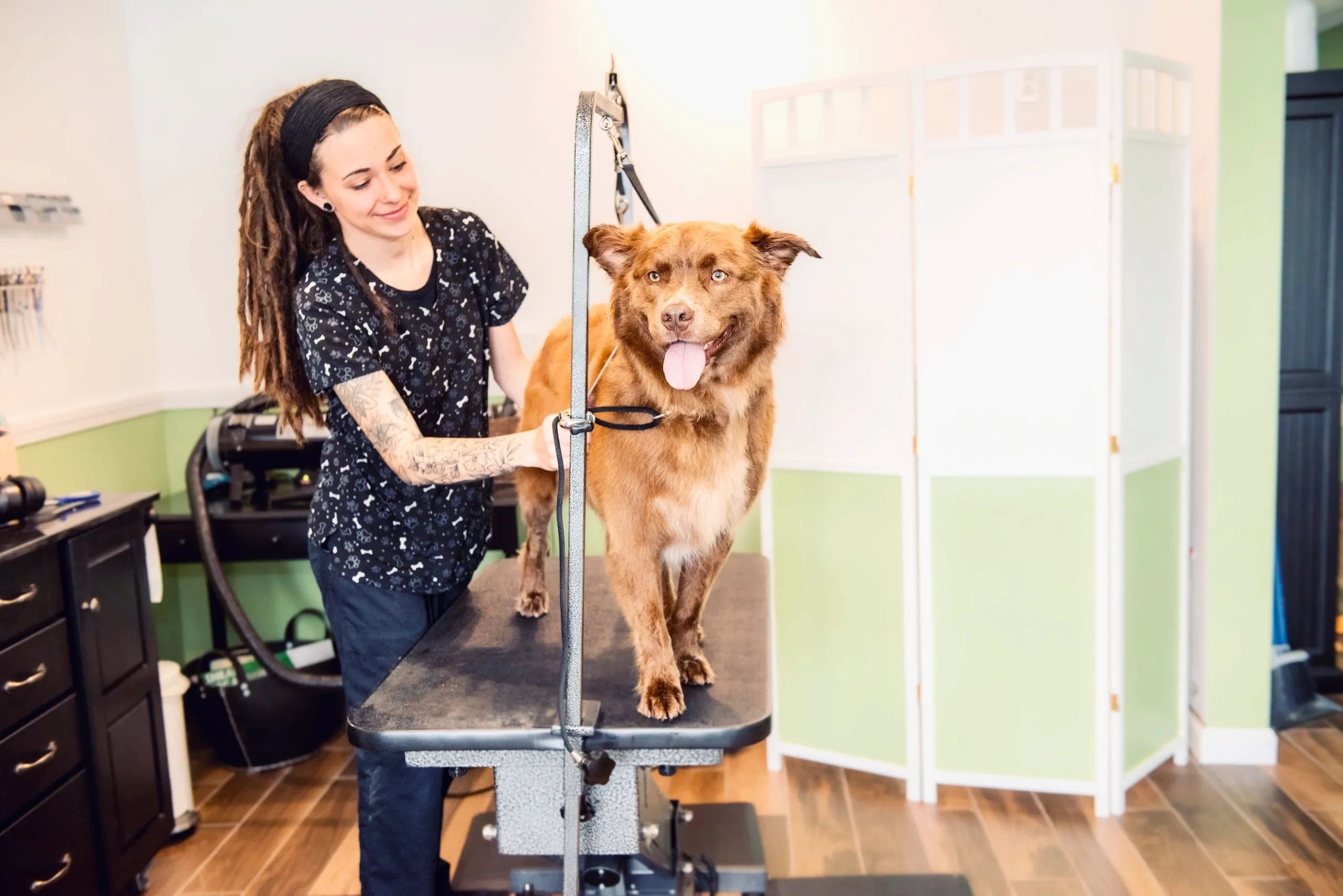 Professional Dog Grooming Services