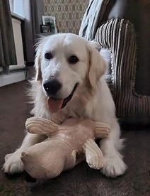 Welcome home Charlie