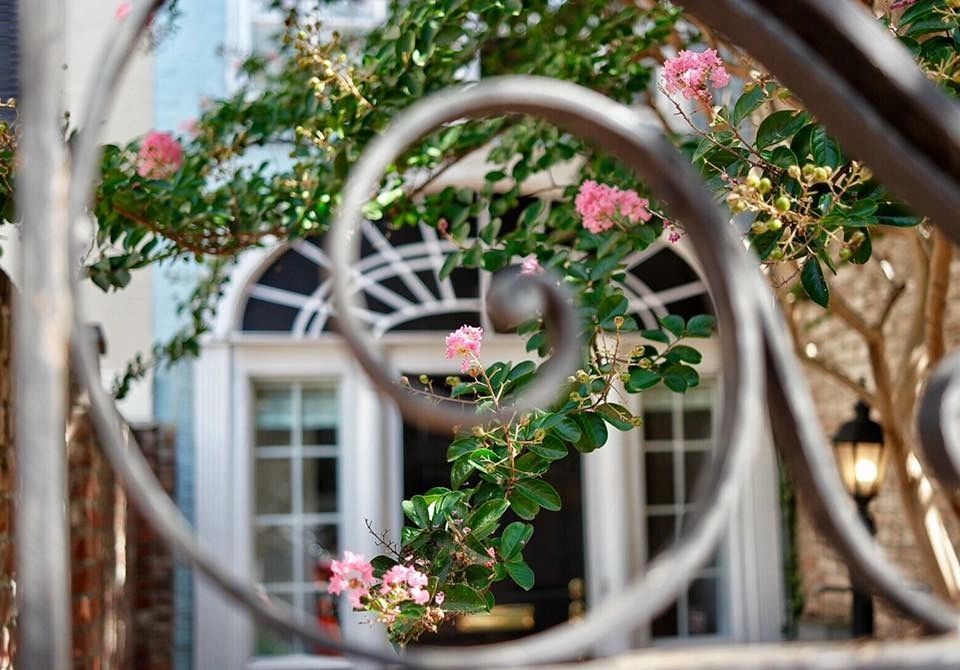 Beth Simon Interiors