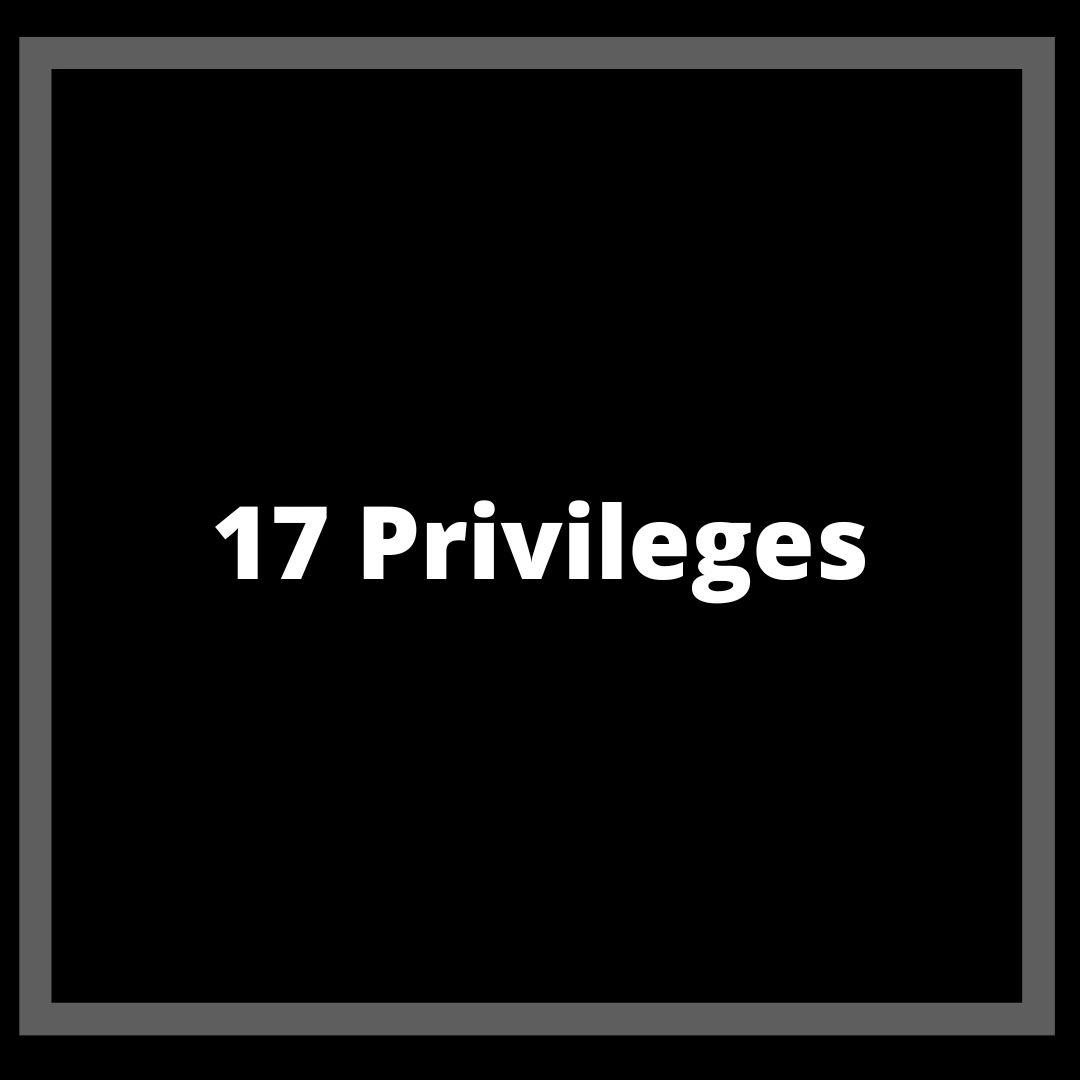 17 Kinds of Privilege and What to Do with Them