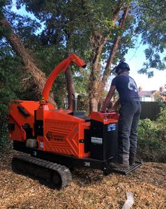 Bear Valley Timber Ltd