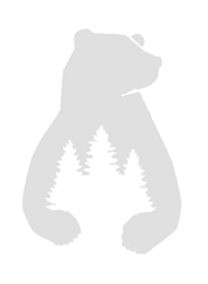 Bear Valley Timber Ltd