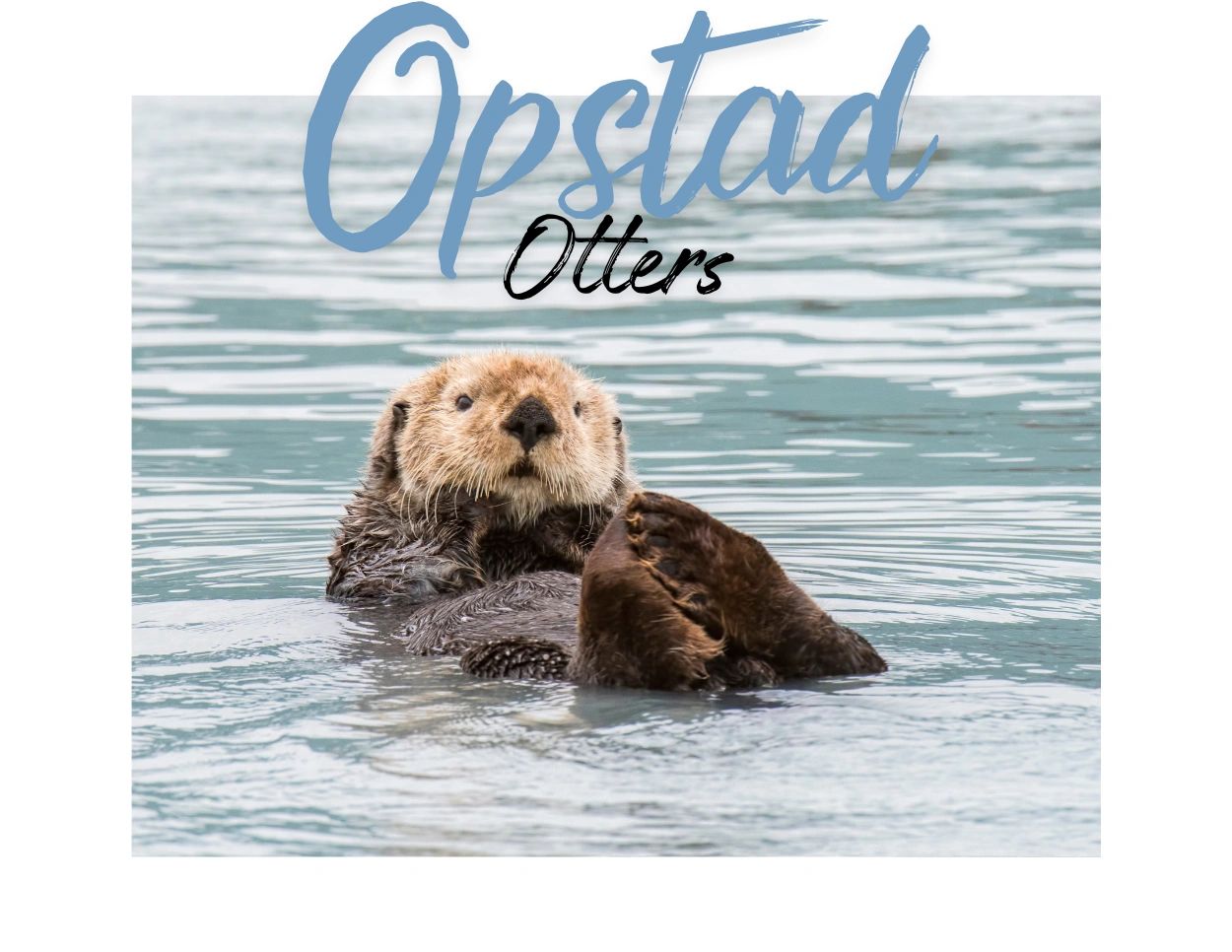 Opstad Elementary PTA - Get Involved Today!