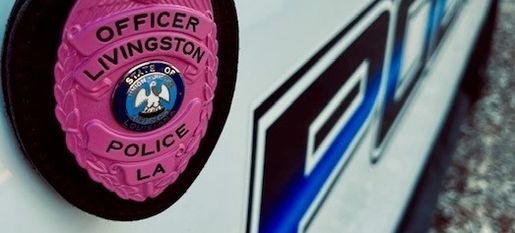 Town of Livingston Police Department