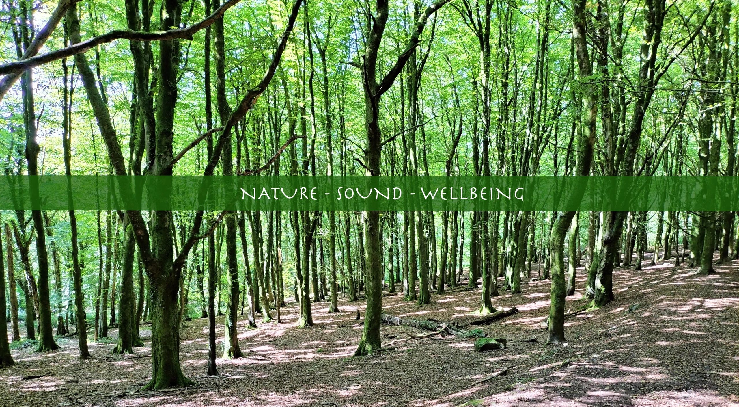 Enhance Your Overall Wellbeing with the Power of Nature and Sound