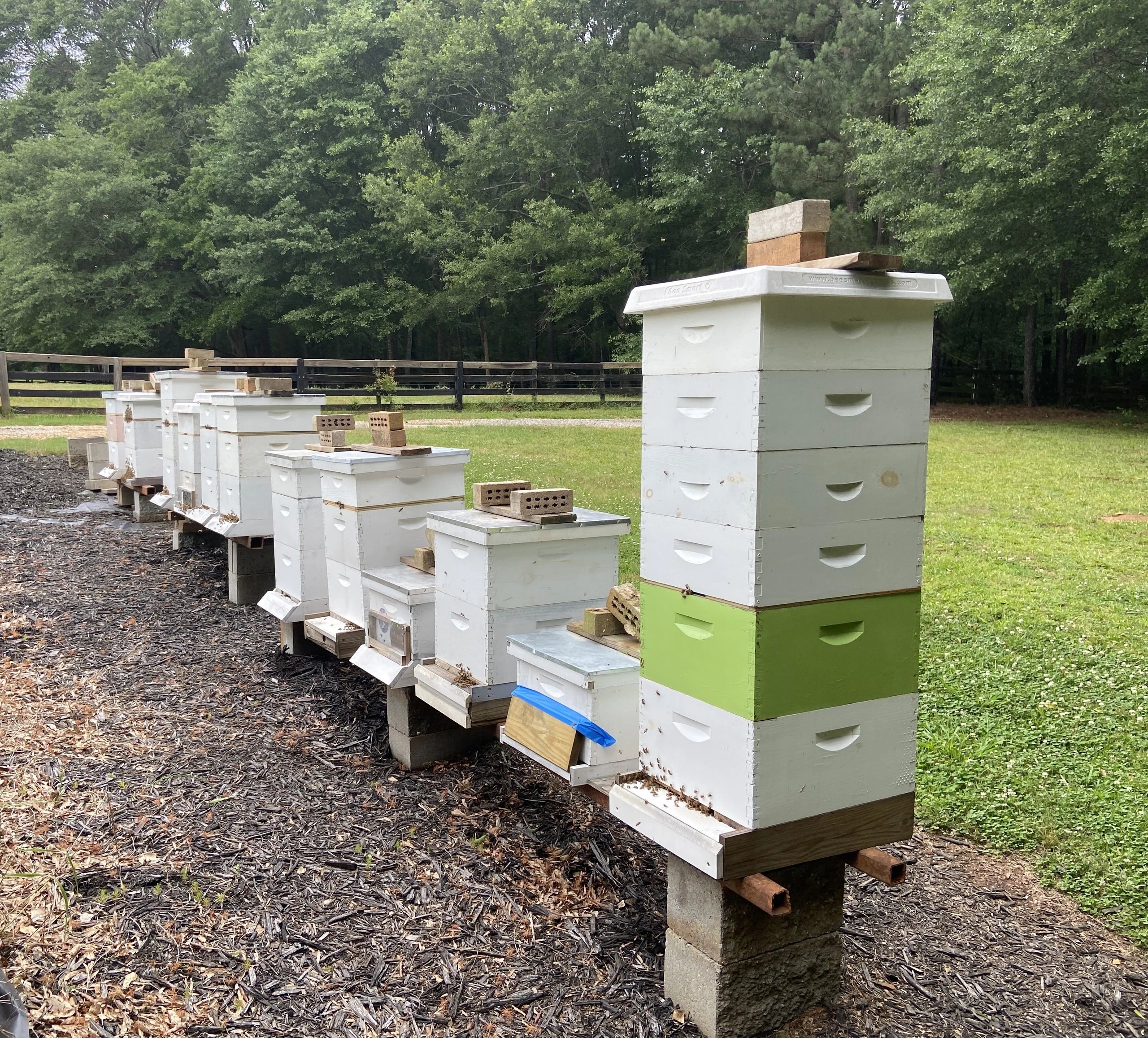 Walton County Beekeepers Association