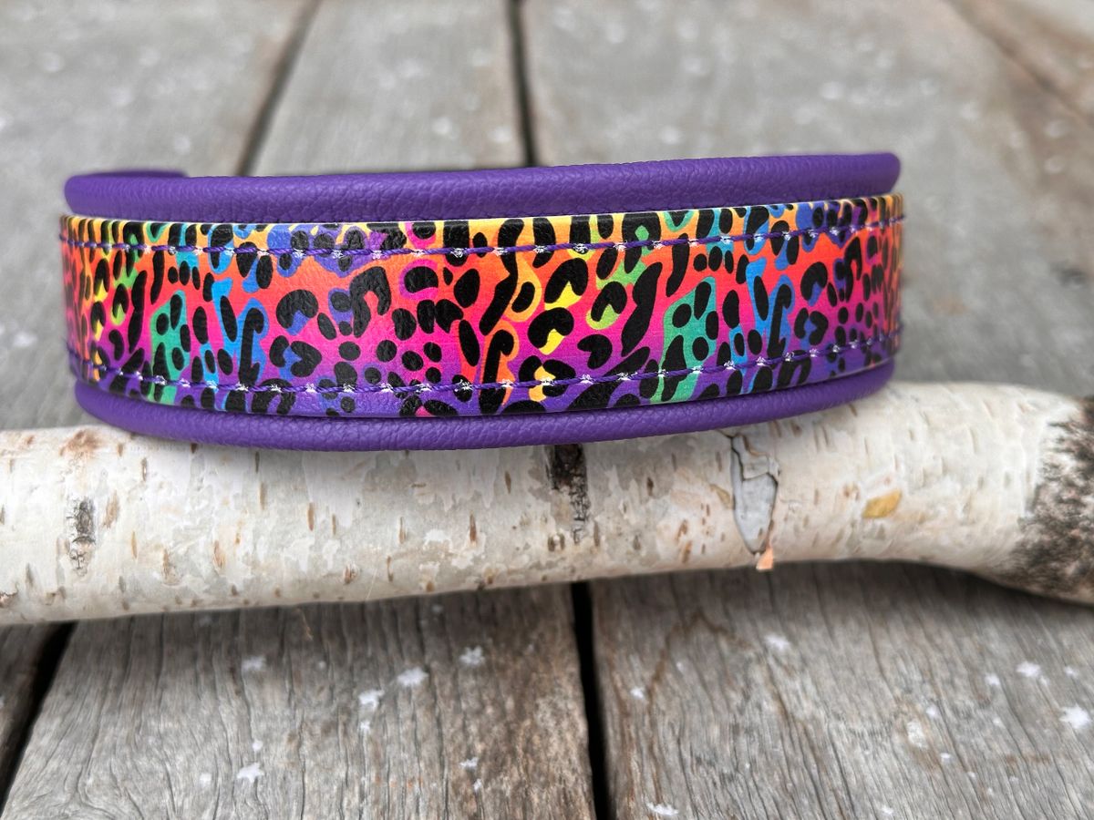 Rainbow Leopard Printed Biothane Fusion Collar - Adjustable