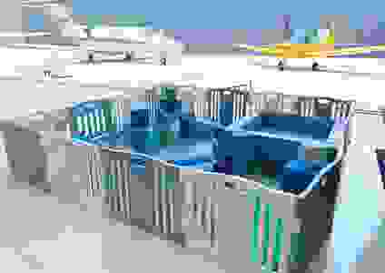 KidsPlayPartyFun - Home