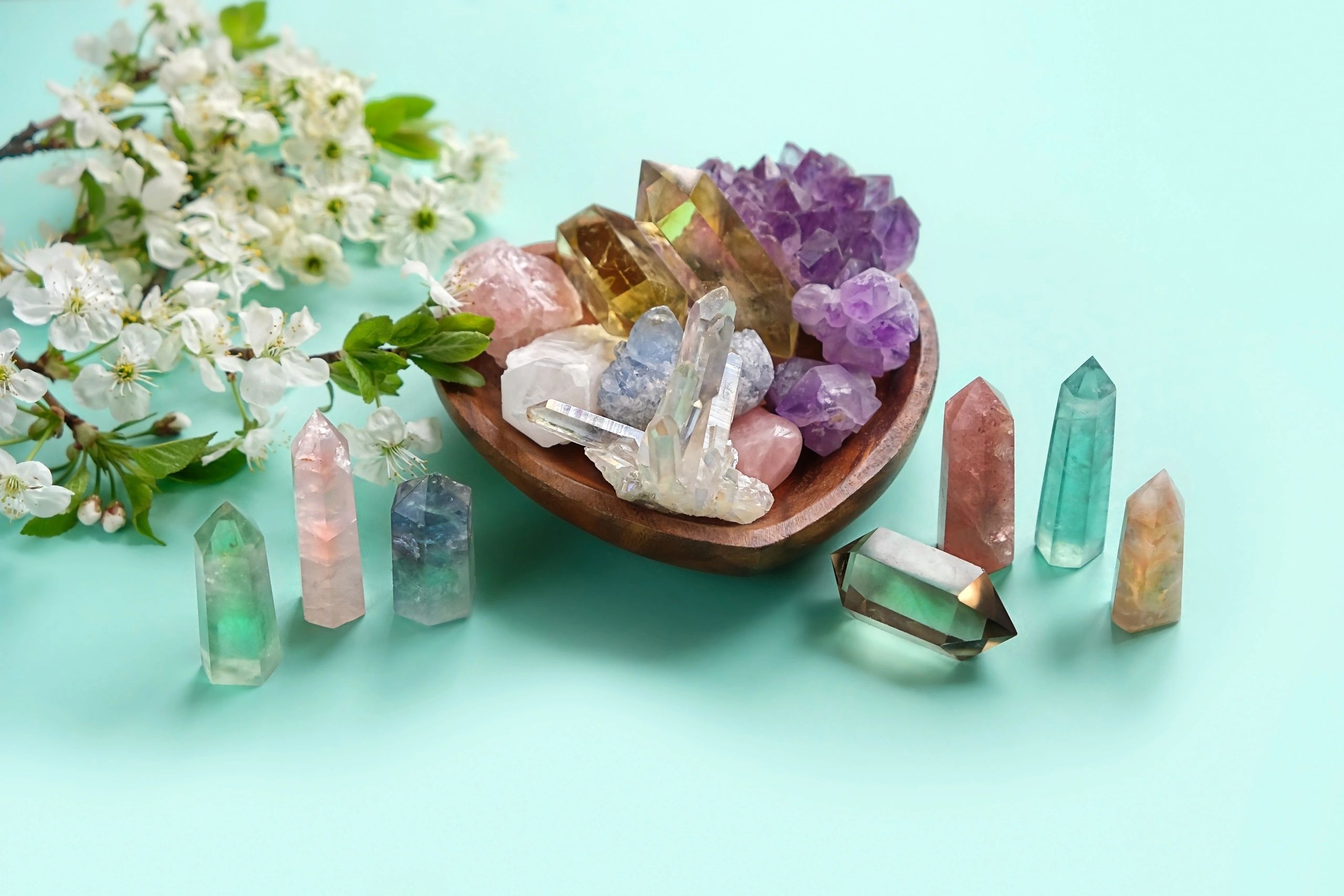 Alchemy and Evolution .com