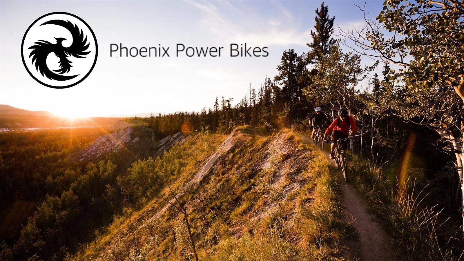 Home [phoenixpowerbikes.ca]