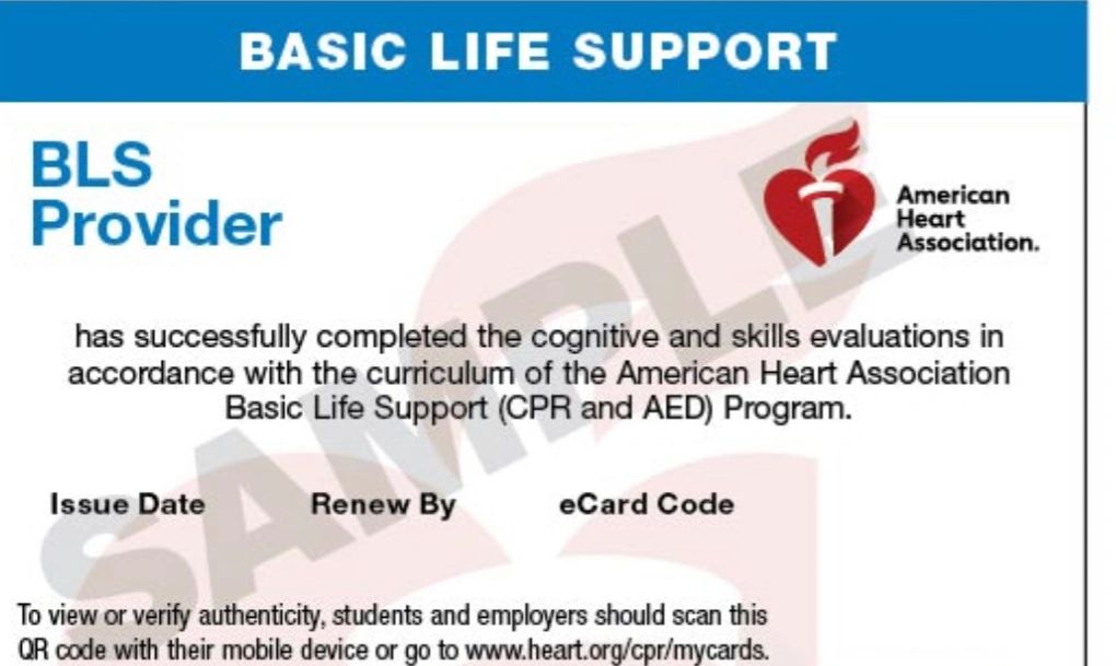 AHA BLS Healthcare Provider Course Adult/Child/Infant CPR/AED (In ...