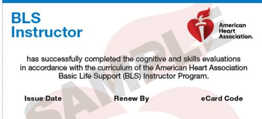 JF Mobile CPR & First AId - Infant Cpr, Mobile Cpr Classes