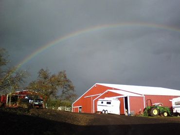 Horse Boarding and Dog Sports - Springhill Stables