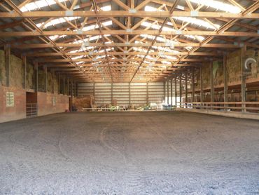 Horse Boarding and Dog Sports - Springhill Stables