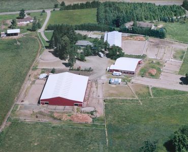 Horse Boarding and Dog Sports - Springhill Stables