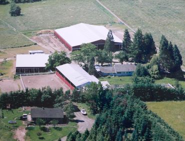 Horse Boarding and Dog Sports - Springhill Stables