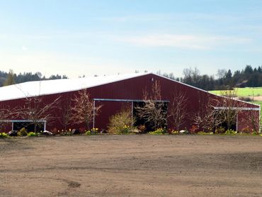 Horse Boarding and Dog Sports - Springhill Stables