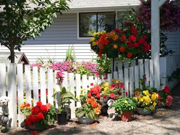 Horse Boarding and Dog Sports - Springhill Stables