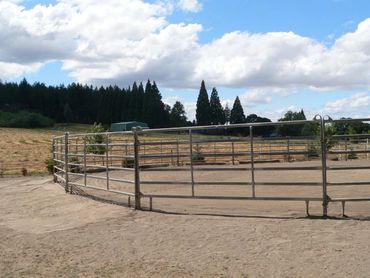 Horse Boarding and Dog Sports - Springhill Stables