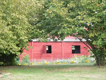 Horse Boarding and Dog Sports - Springhill Stables