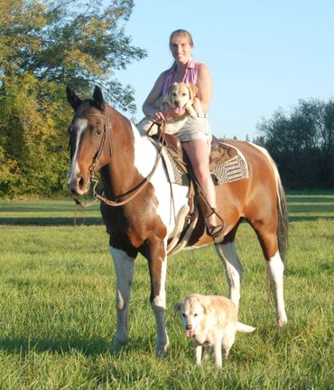 My Babies | Springhill Stables