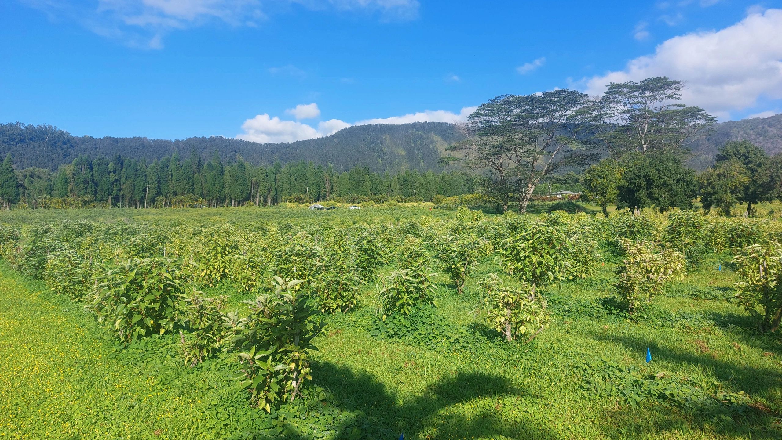 The Wood Valley Ranch