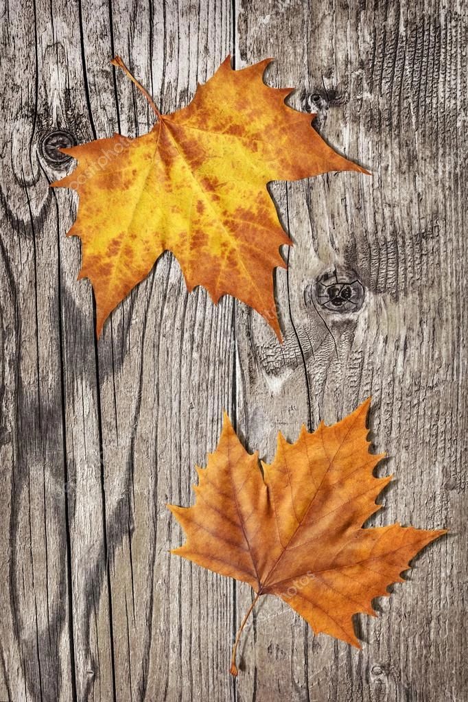 Court's Crates Ltd. - Gift Crates and Baskets, Canadian Products