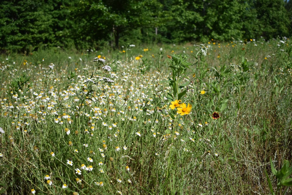 Conservation Park of Virginia