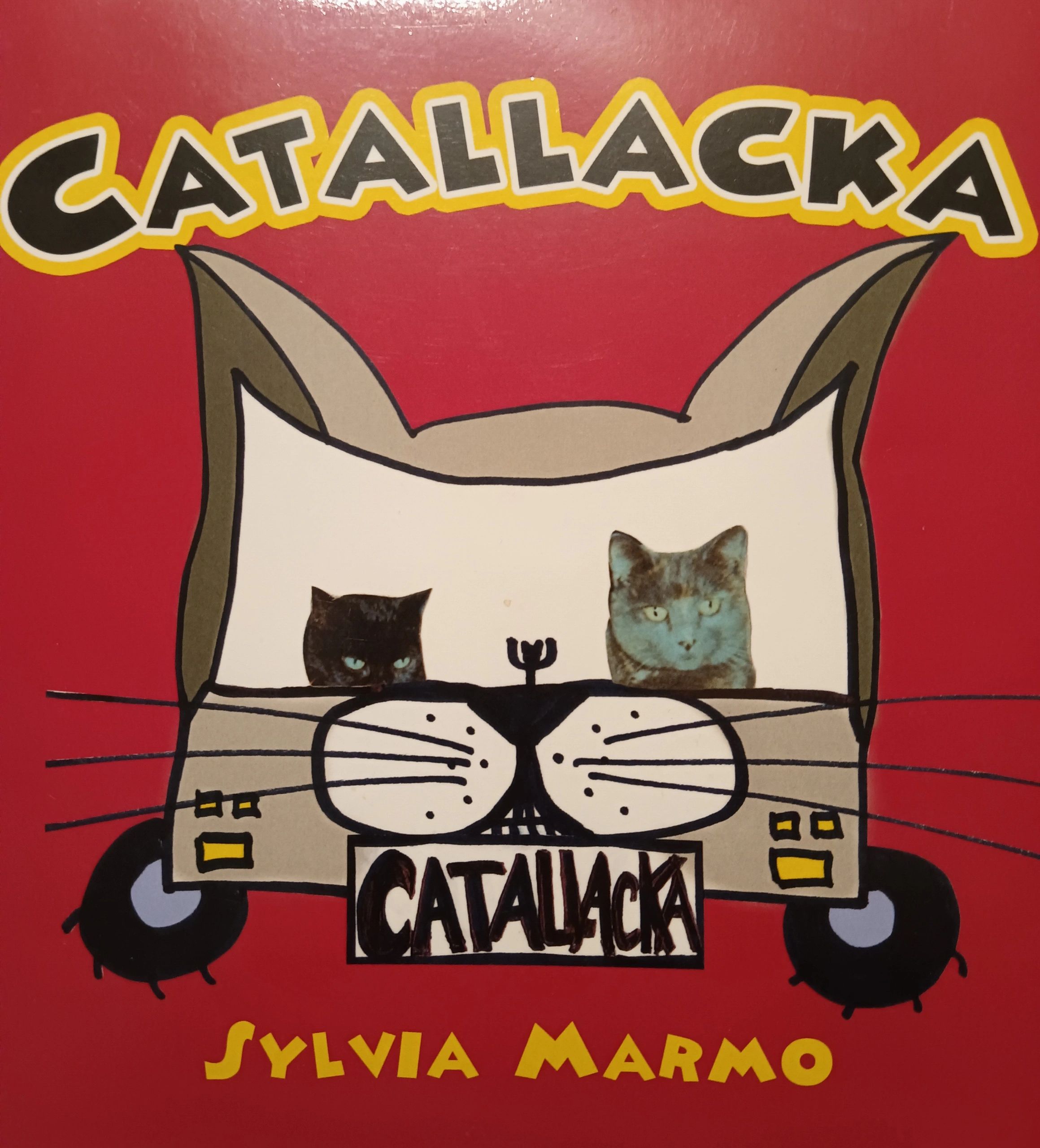 TAKE YOUR IMAGINATION FOR A RIDE!