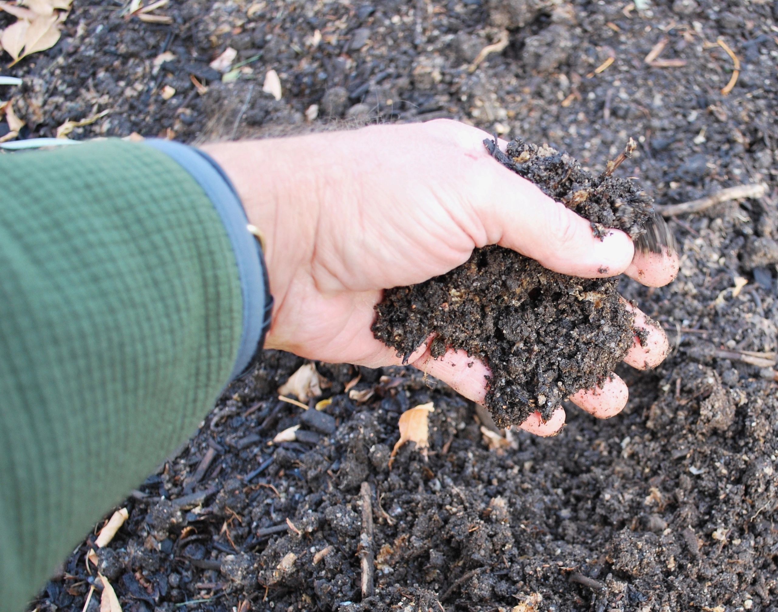 Hydrating Your Dry Soil