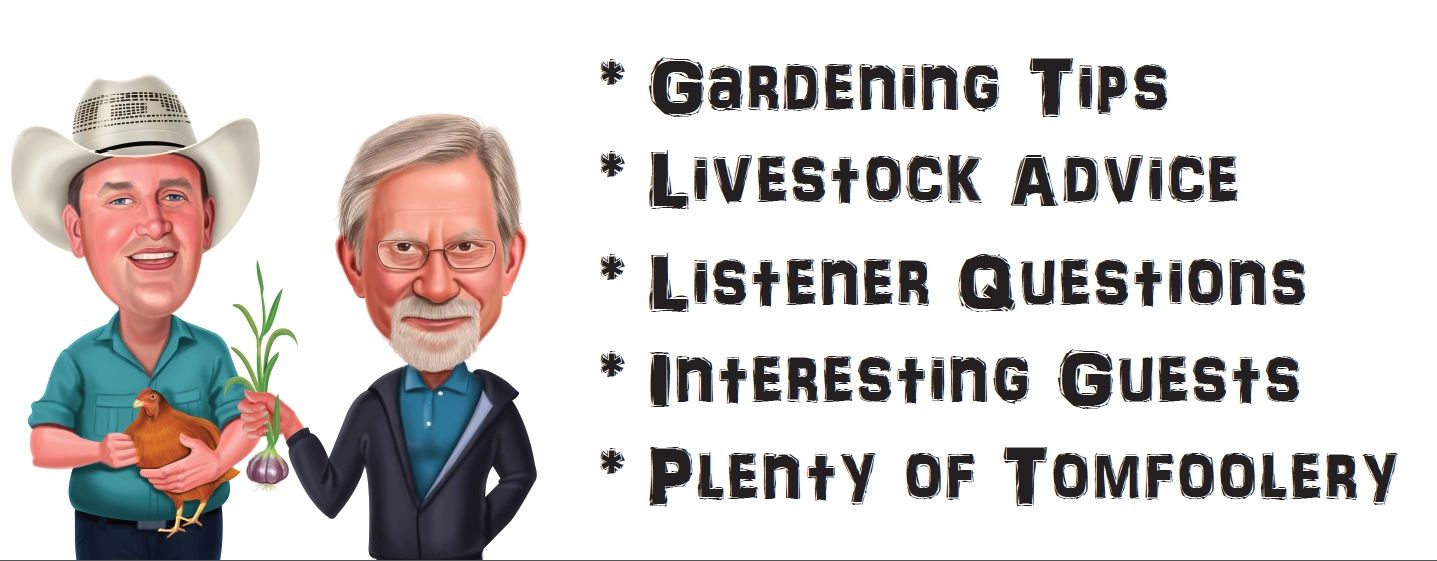 Check Out Our New Podcast Section