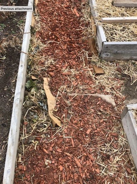 Cardboard as a Ground Cover...My Thoughts.