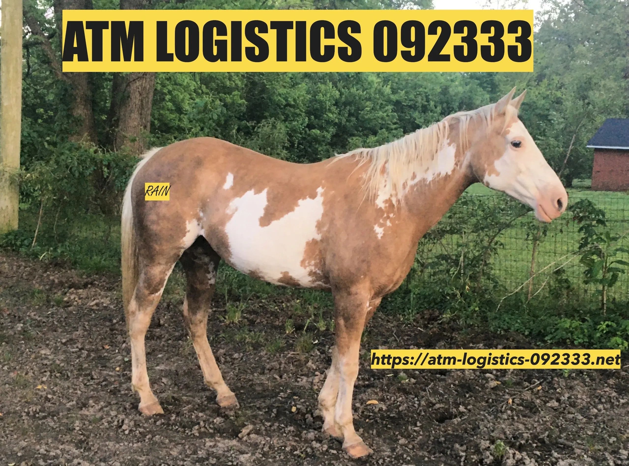 ATM-Logistics - 092333.net