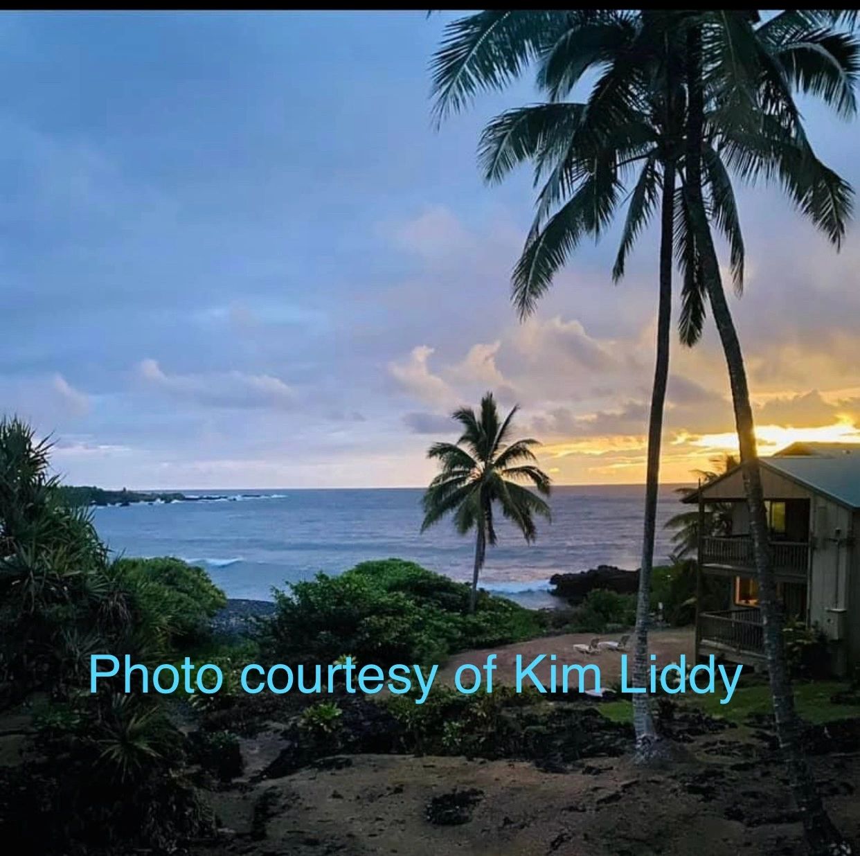 Revo Ride Share with Snap Delivered DFW