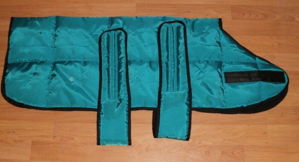 Yearling, Adults & Llama