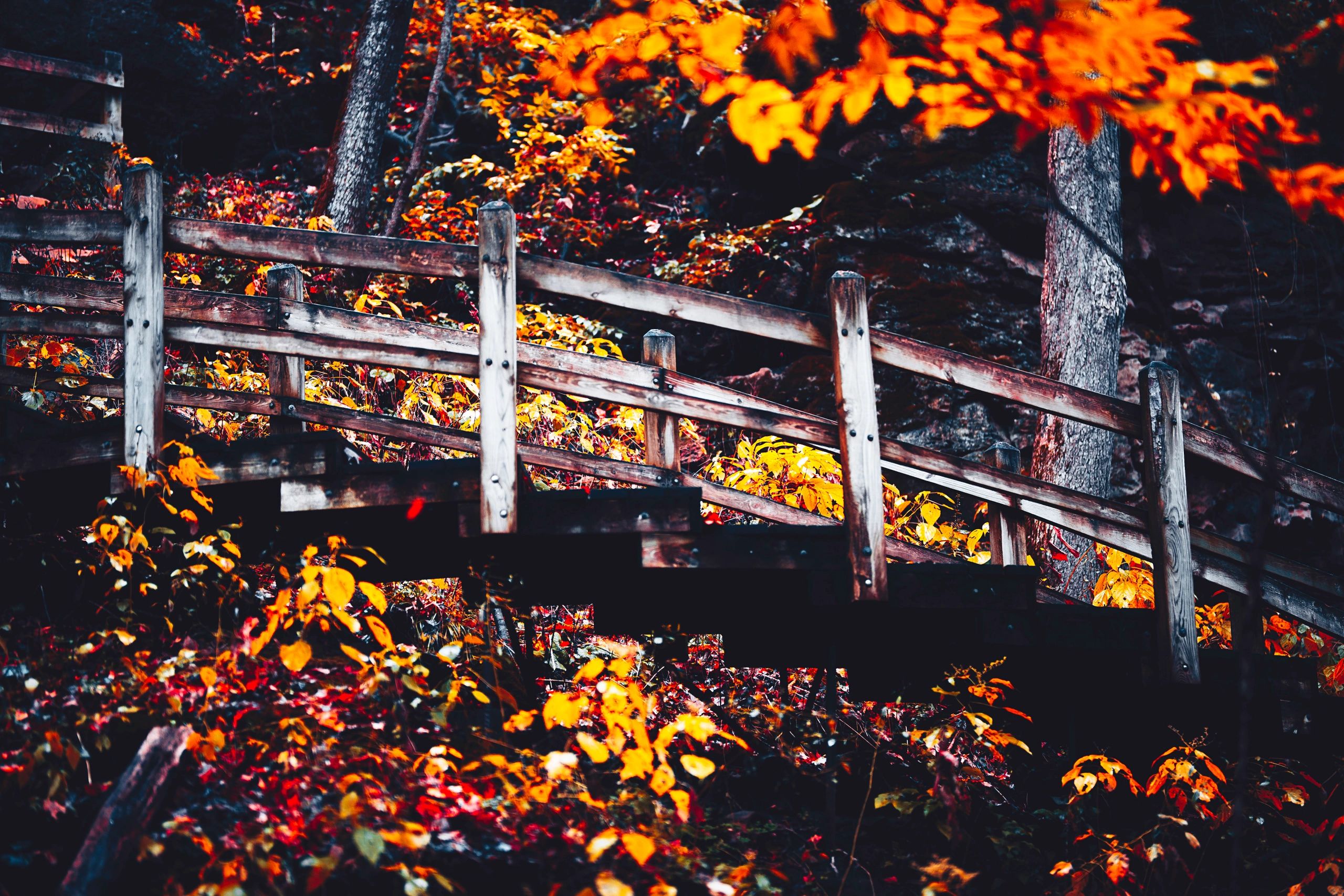 Statik Studio - Photography, Portraits