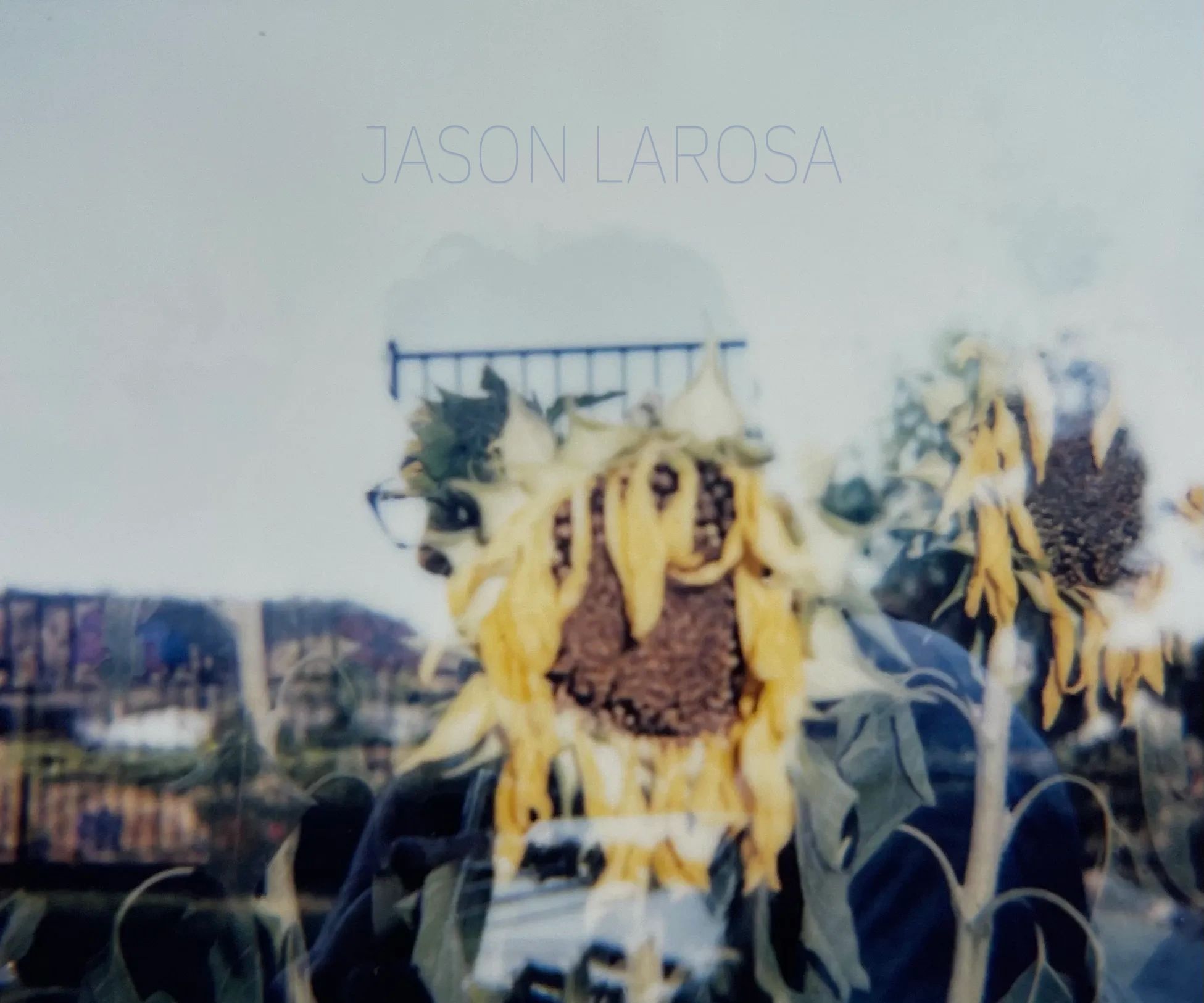 Jason Larosa