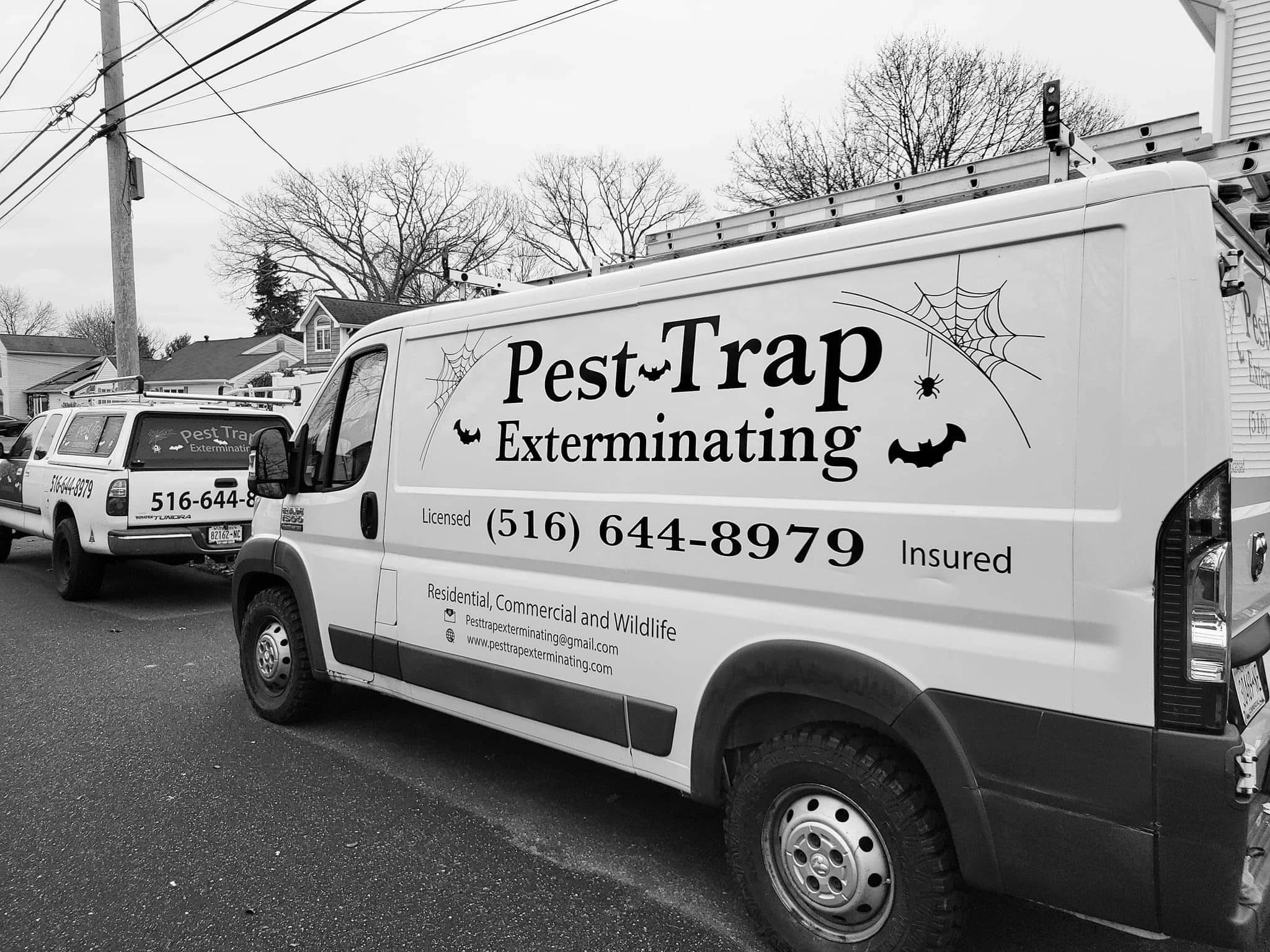 Pest Trap Exterminating