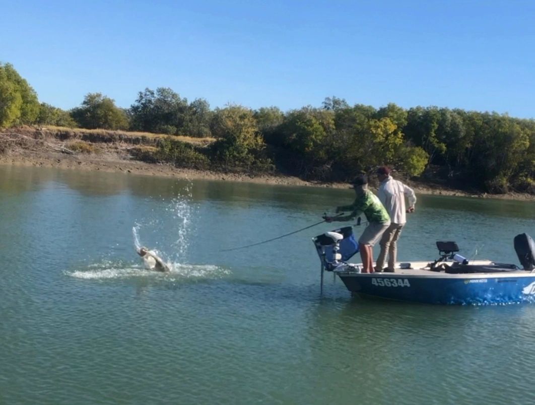 Barramundi Fishing charter. Fishing Cairns, Port Douglas, Lake Tinaroo ...