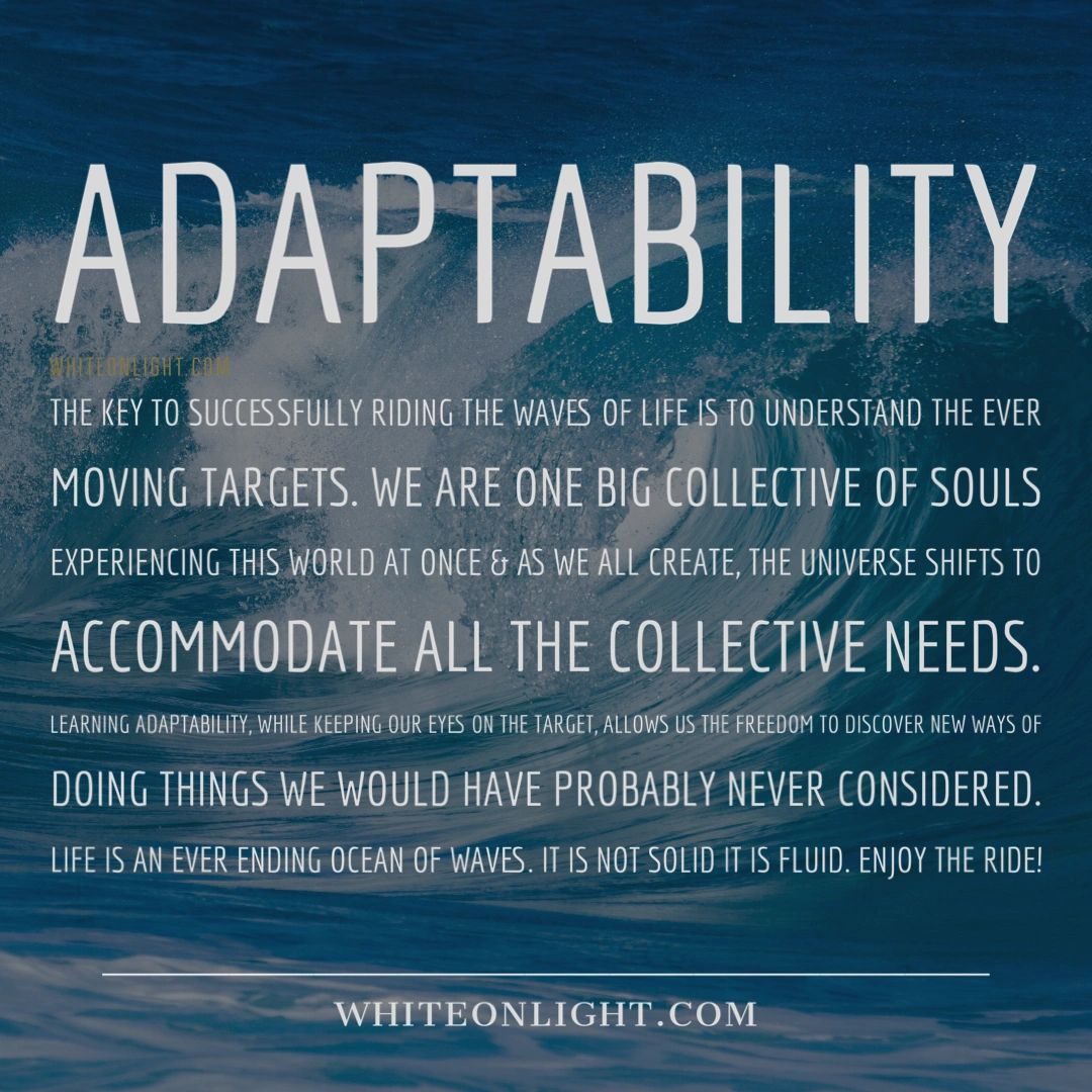 Adaptability