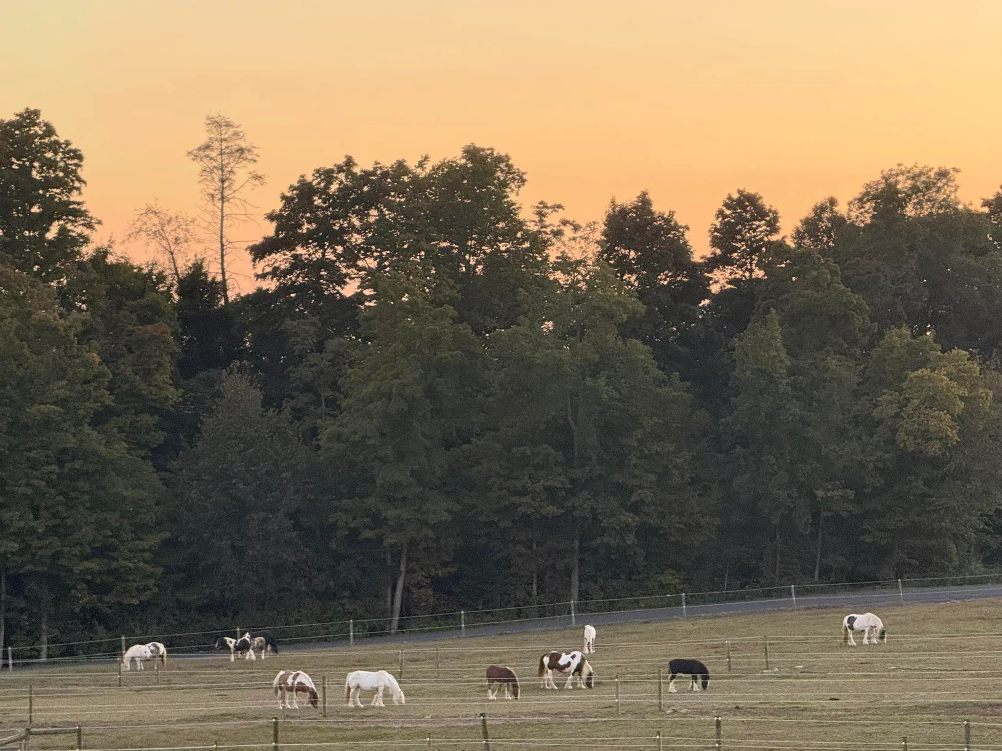 STL Once Again | Skys The Limit