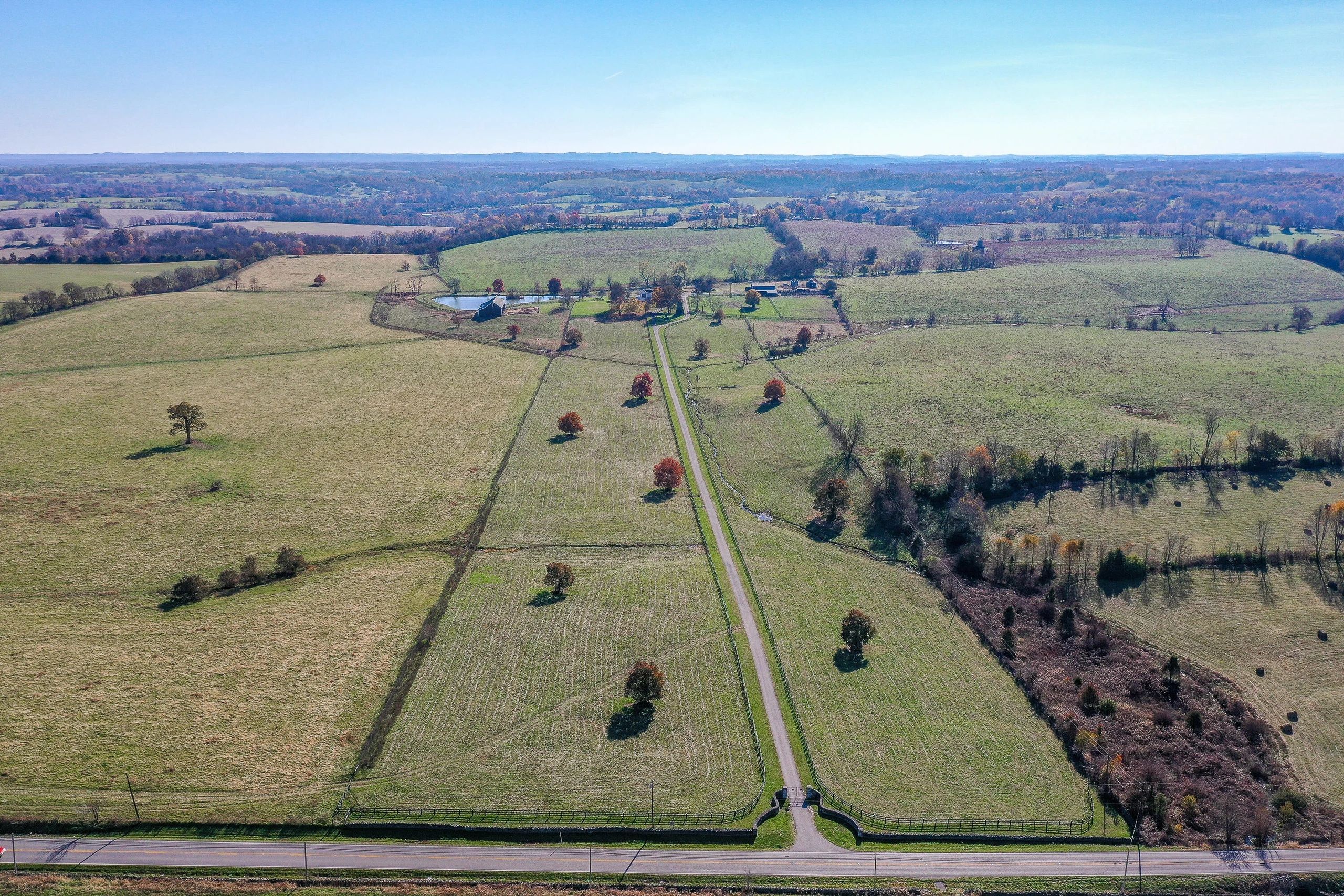 Magical Menagerie Horses | Thestral Farms