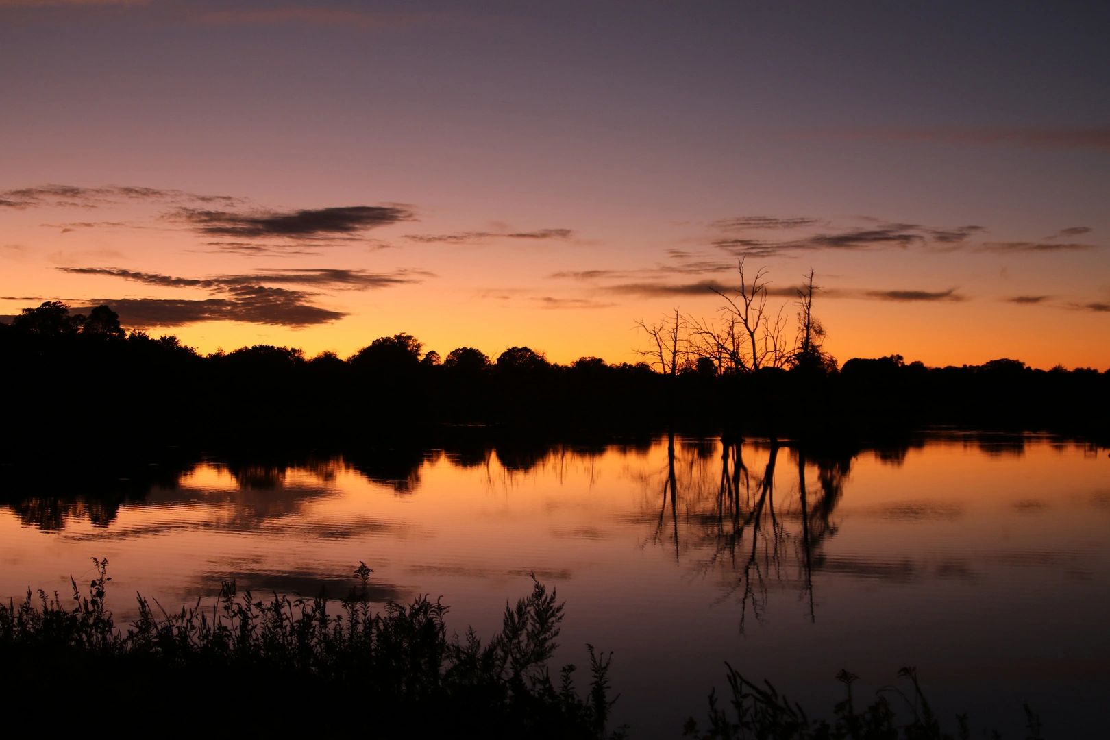 Eat | Triple D Ranch