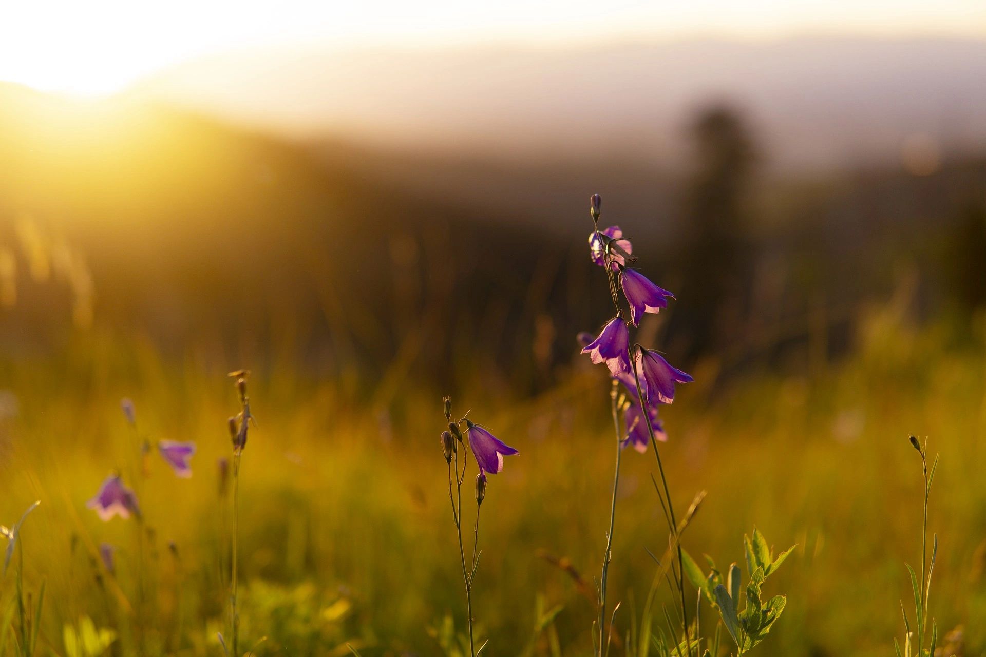 Nature&Spirit