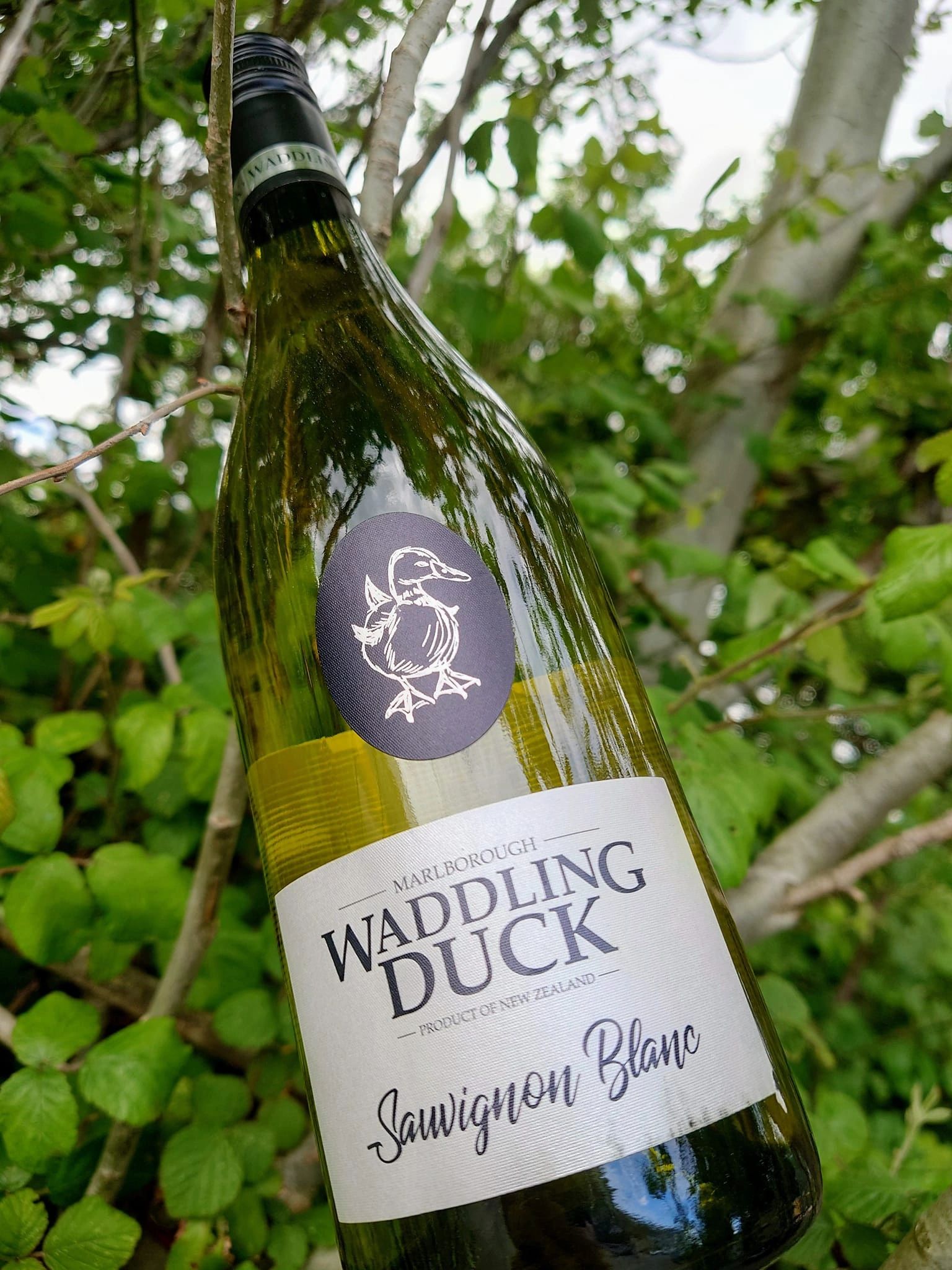 No Fuss Just Wines - Buy Wine Online, Summer Wine Sales