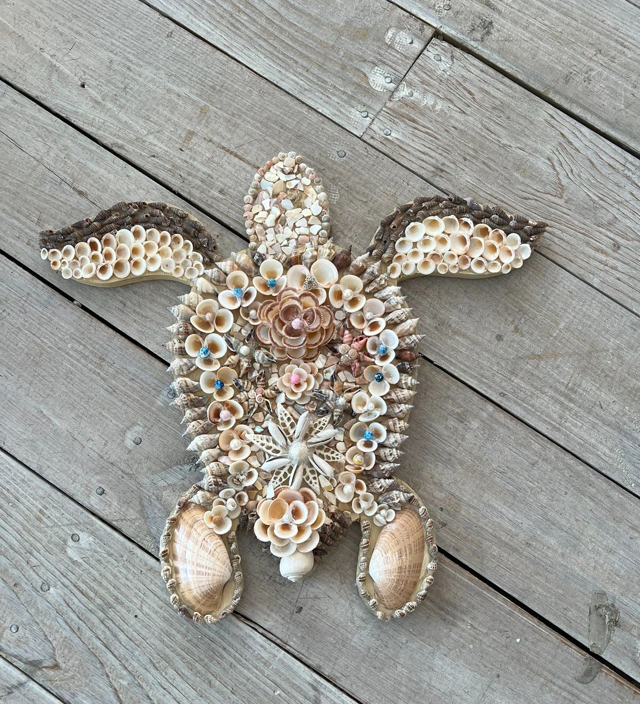 September 22 Shell Collage Sea Turtle